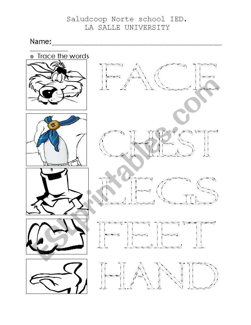 Tracing Body Parts Worksheets – AlphabetWorksheetsFree.com Tracing Body Parts Worksheets – AlphabetWorksheetsFree.com