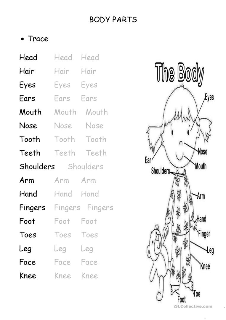 Tracing Body Parts Worksheets – AlphabetWorksheetsFree.com Tracing Body Parts Worksheets – AlphabetWorksheetsFree.com
